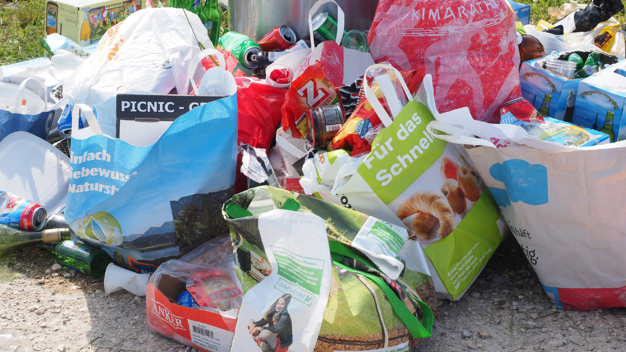 How Improper Waste Management Leads To Pest Problems In Condominiums ...